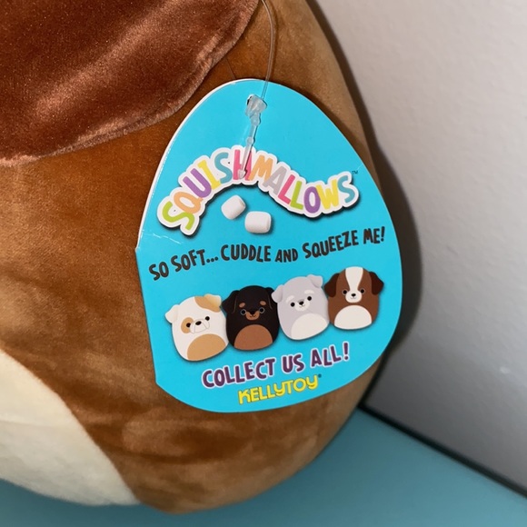 Kellytoy | Toys | Bernie The 8 Inch Squishmallow | Poshmark